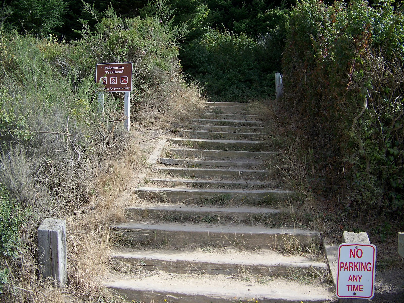 Foothill Marmots at Point Reyes: Palomarin to Bass Lake and Alamere ...