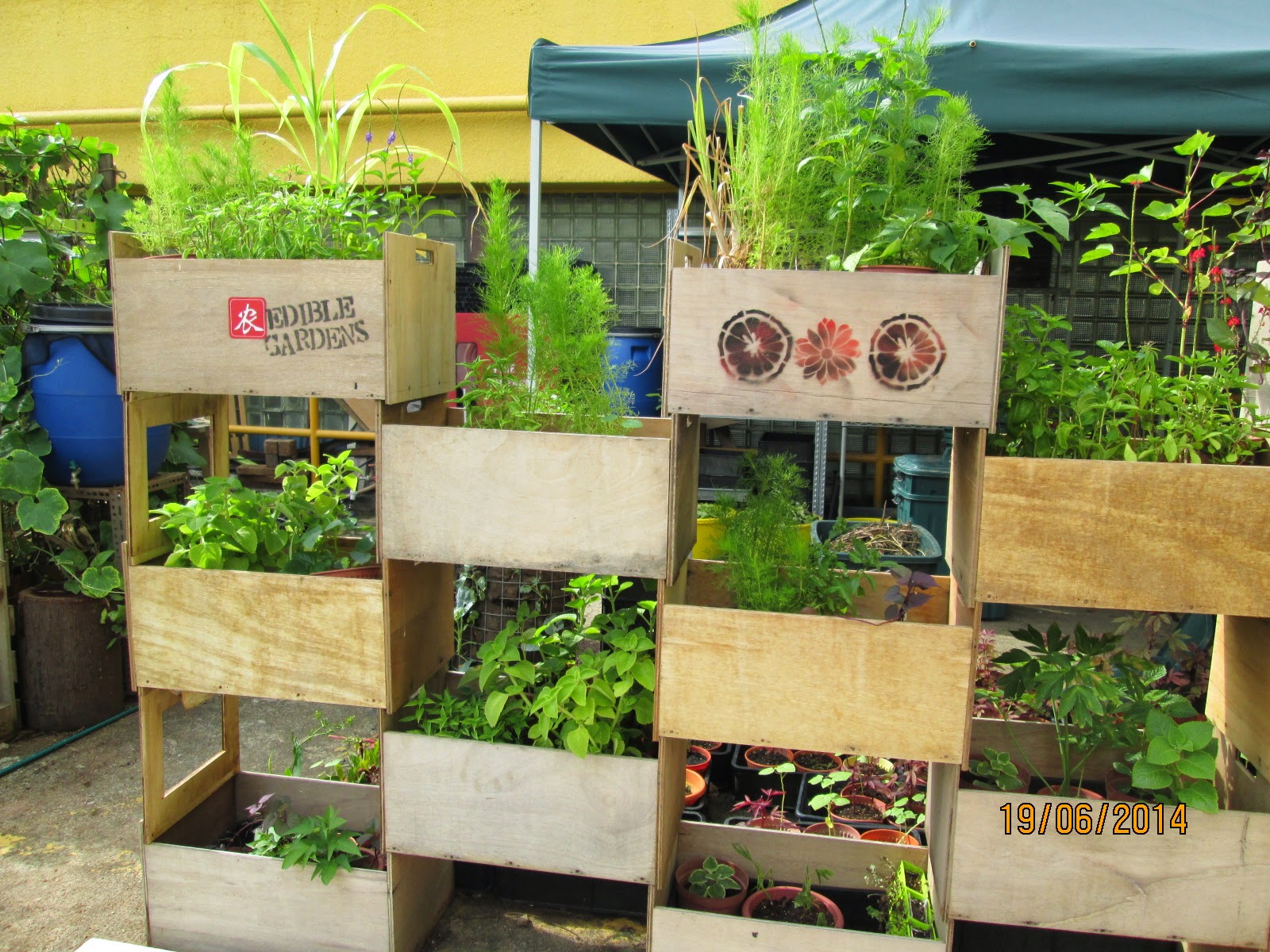 Openplants: Visit to Edible "Garden City" Rooftop at People's Park