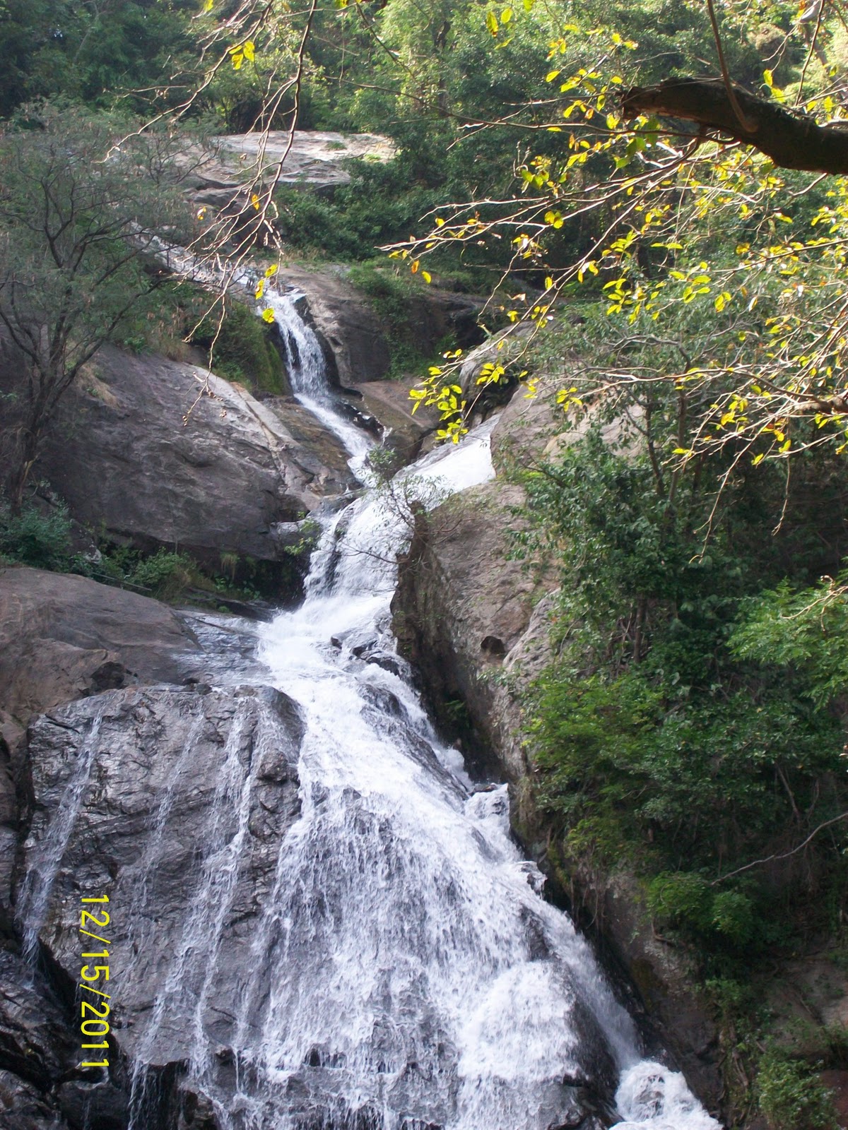 Arun n Rashmi's Travel Log: Valparai