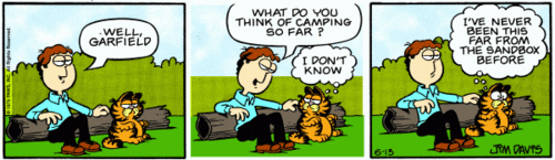 Teacher Lu Online: Garfield Comic Strips (Vacation)