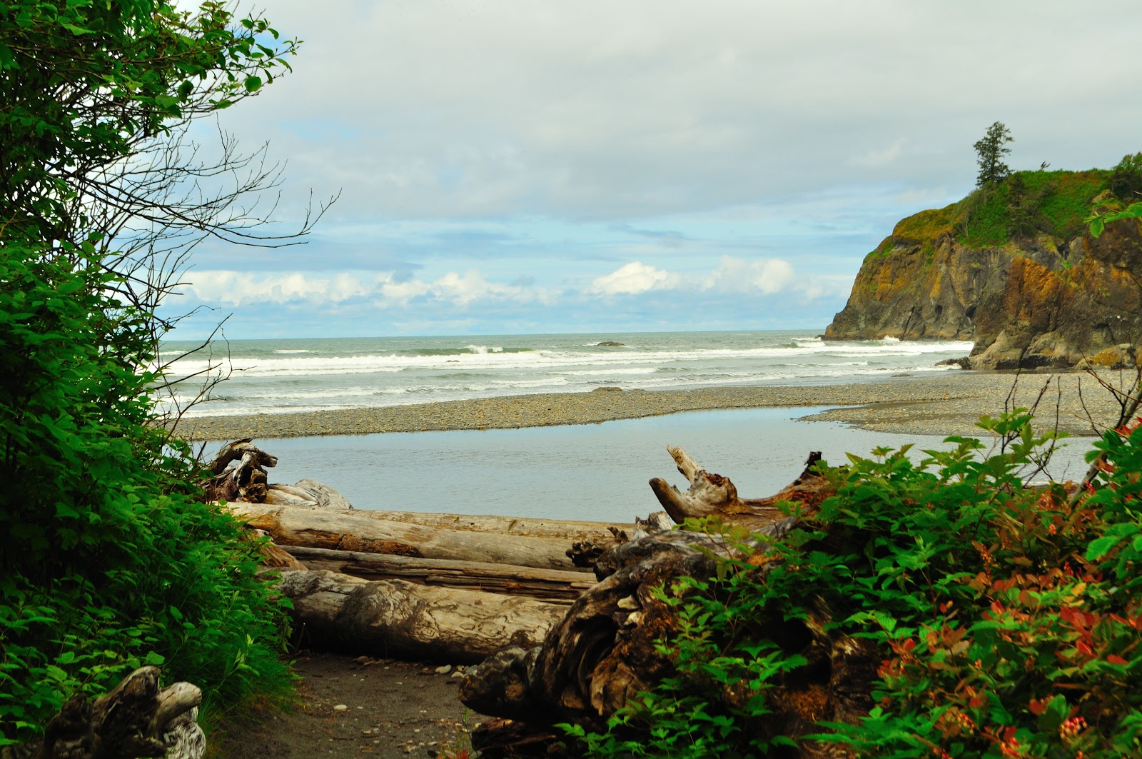 Travels, Trails and Tales: PNW Road Trip Day 8: Ruby Beach and the Hoh ...