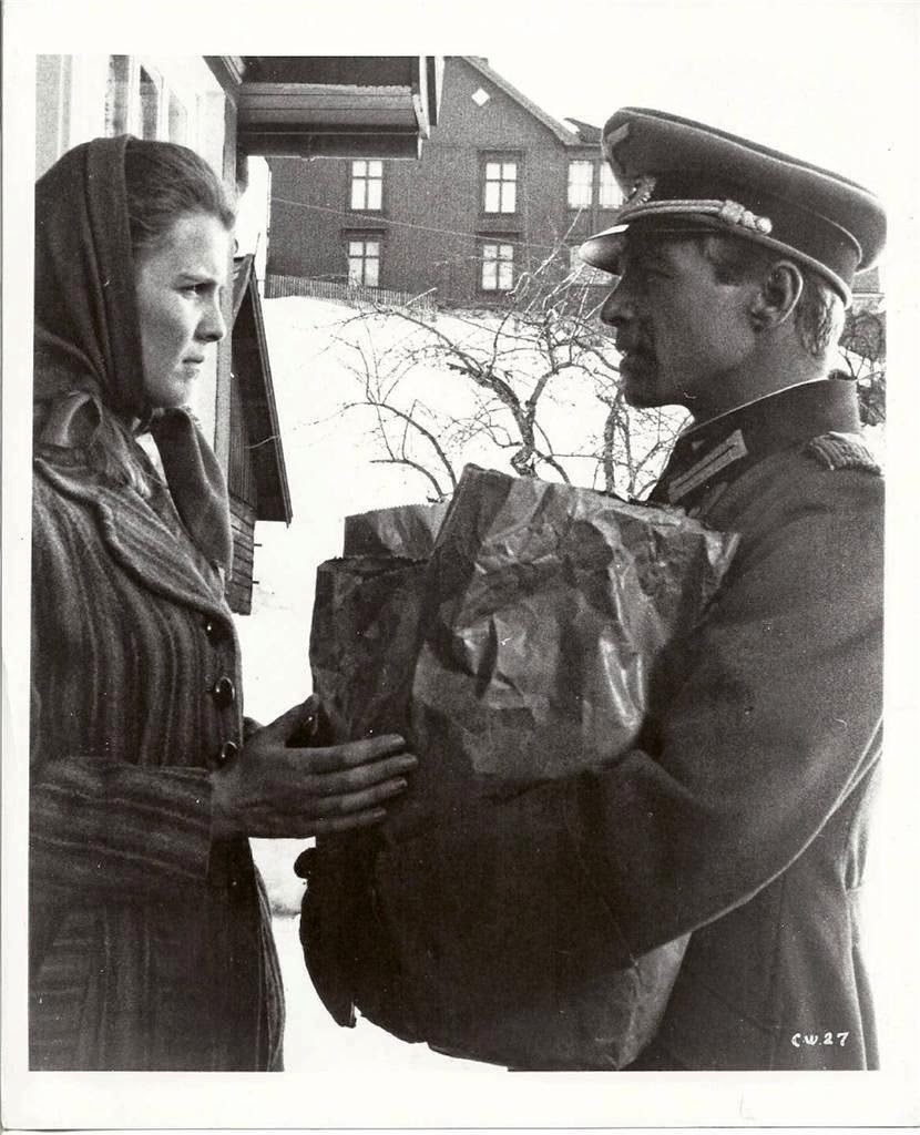 James Franciscus: Snow Treasure (1968)