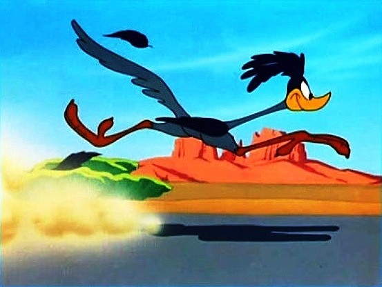 GalleryCartoon: The Road Runner Cartoon Pictures
