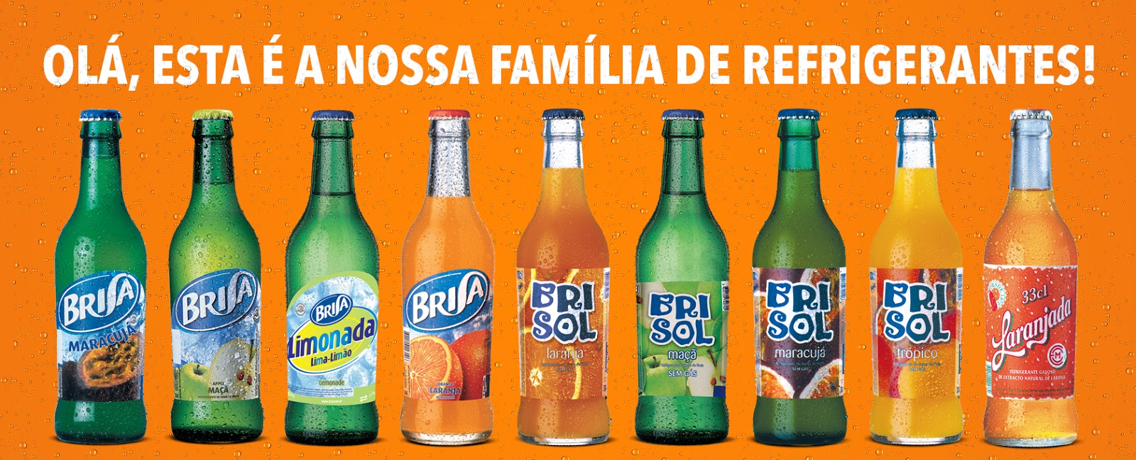 8 bebidas a provar na Madeira - Somos Madeira