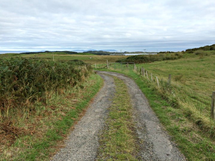 Go Feet: Running Islay (5): Three standing stones in three miles from ...