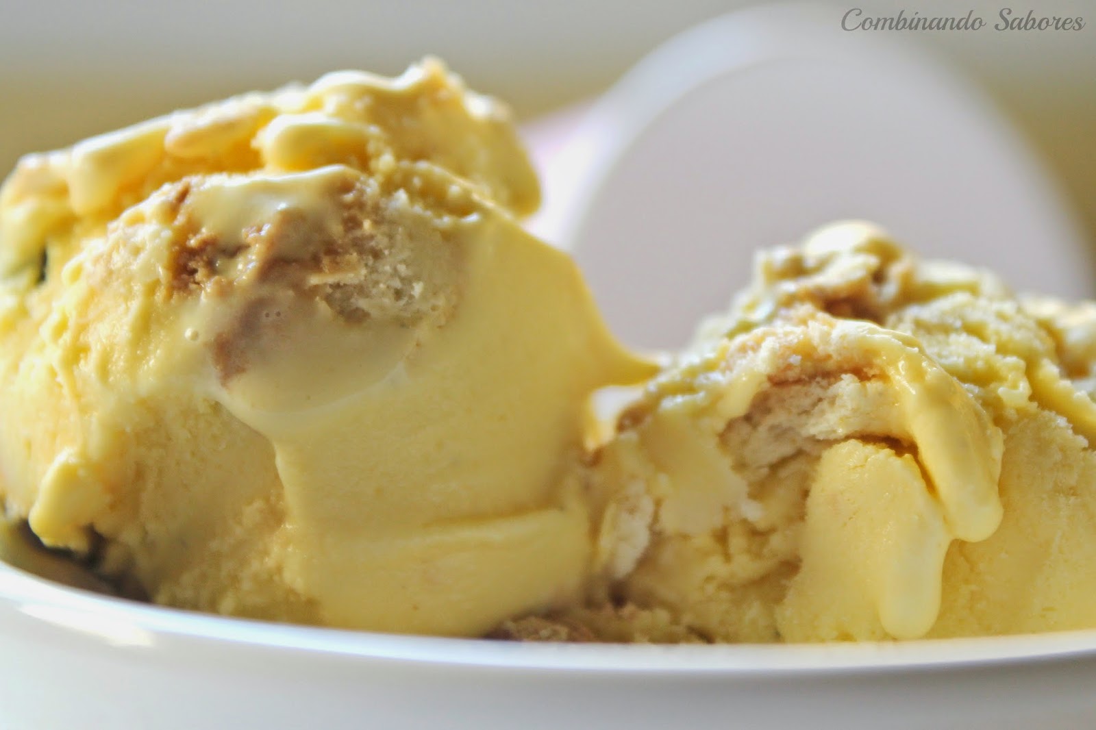 COMBINANDO SABORES: HELADO DE VAINILLA CON CHOCOLATE Y GALLETA