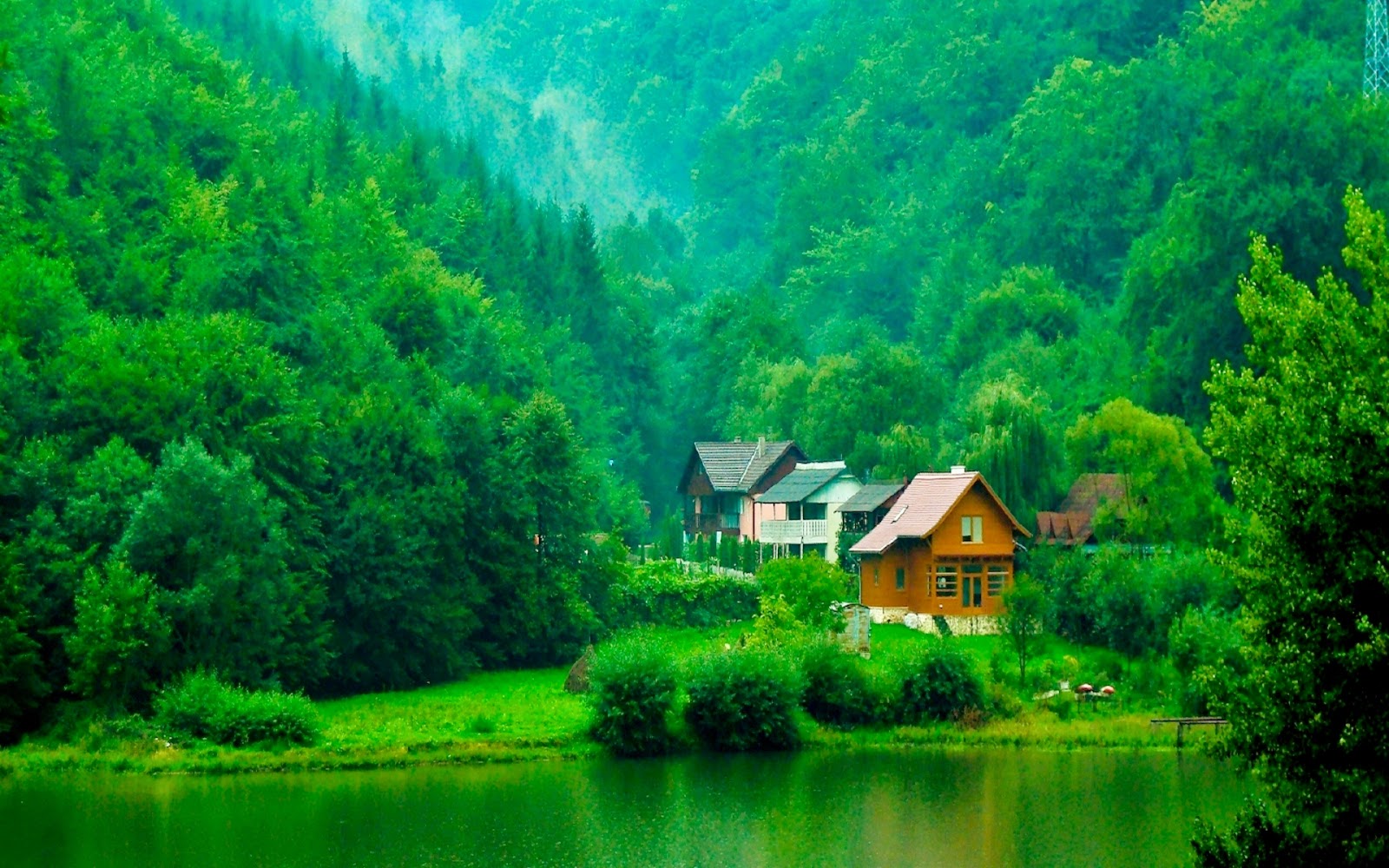 wellpaper,photo,pictures,images | Free Funny Images