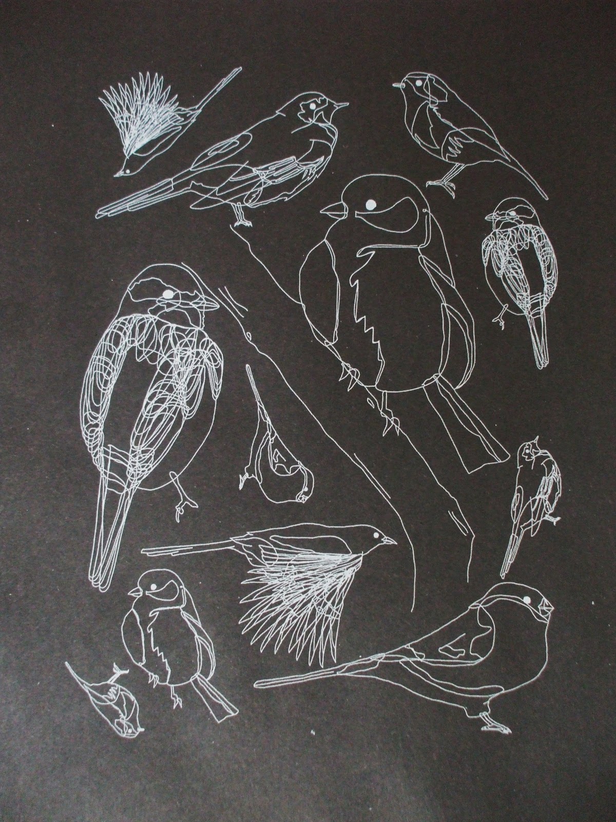 The Bird Draws : Some Birds Screen Prints