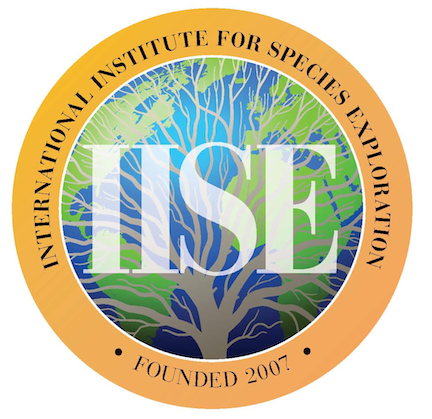 IISE: 2011