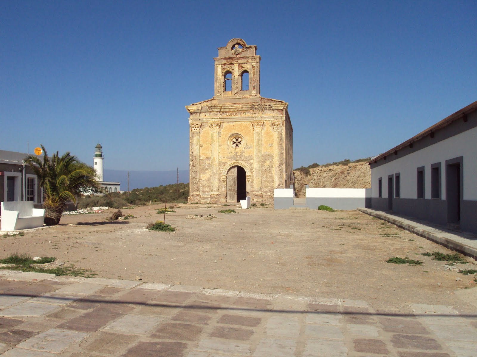 Mar y Montaña (y III). La fauna de las Islas Chafarinas.
