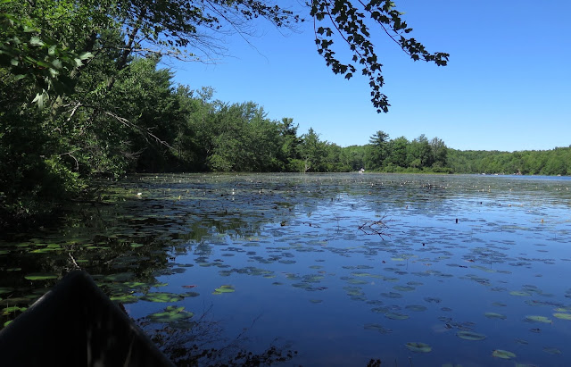 Saratoga woods and waterways: Exploring the Shore of Lake Desolation