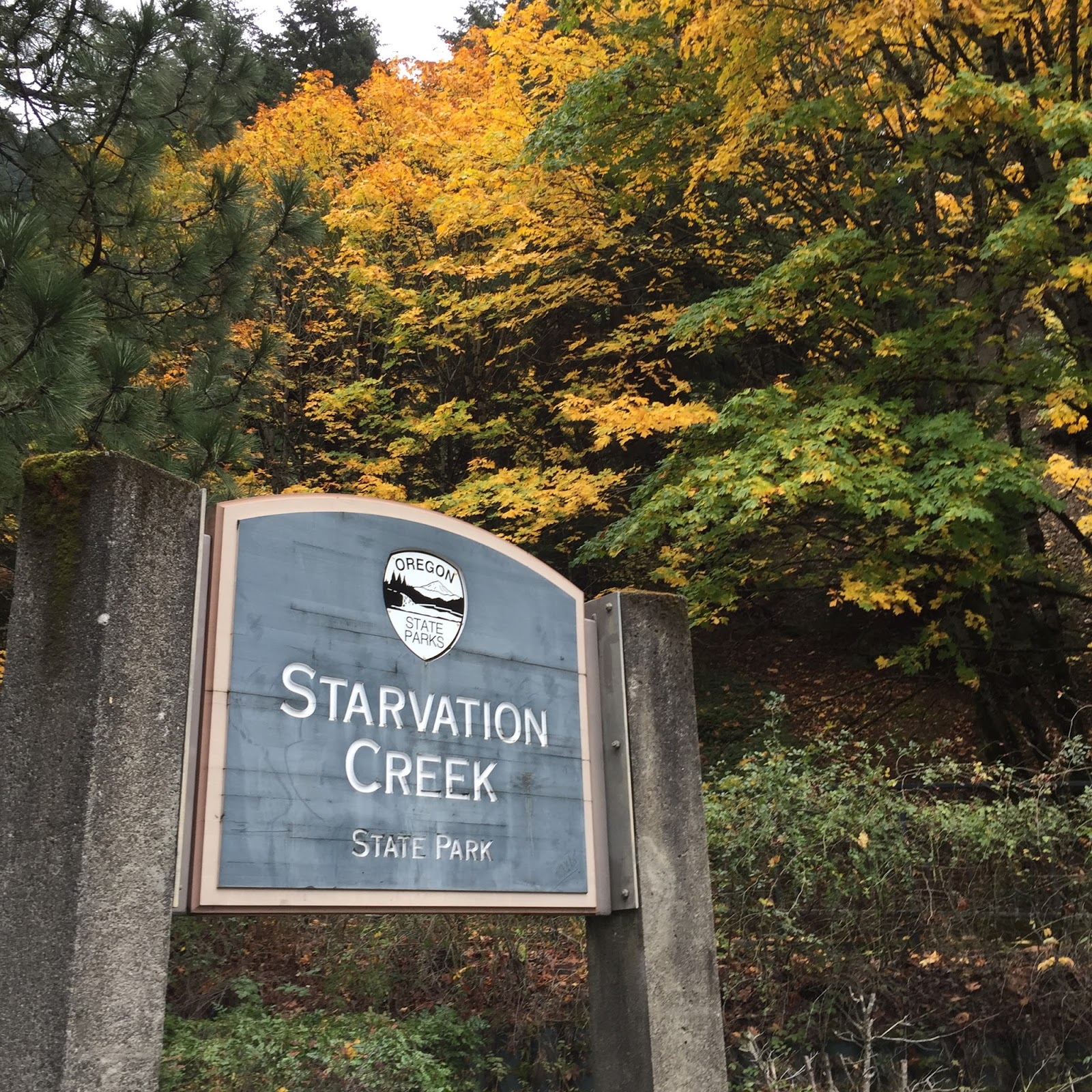 Travel Rants and Raves: Oregon's Starvation Creek State Park: New Trail to Three Waterfalls