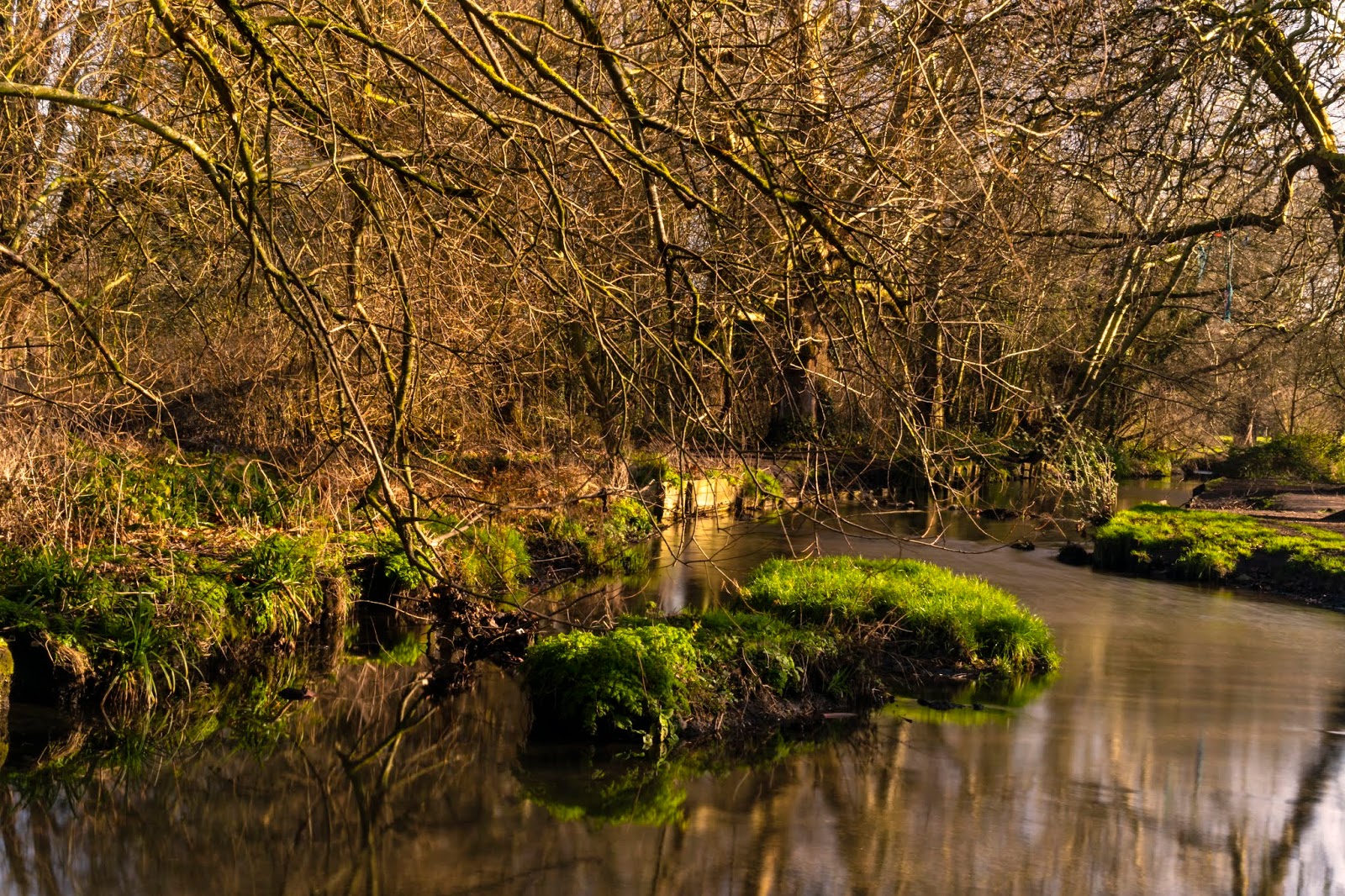 Enjoy your time with beautiful places: Beddington Park - Wallington ...