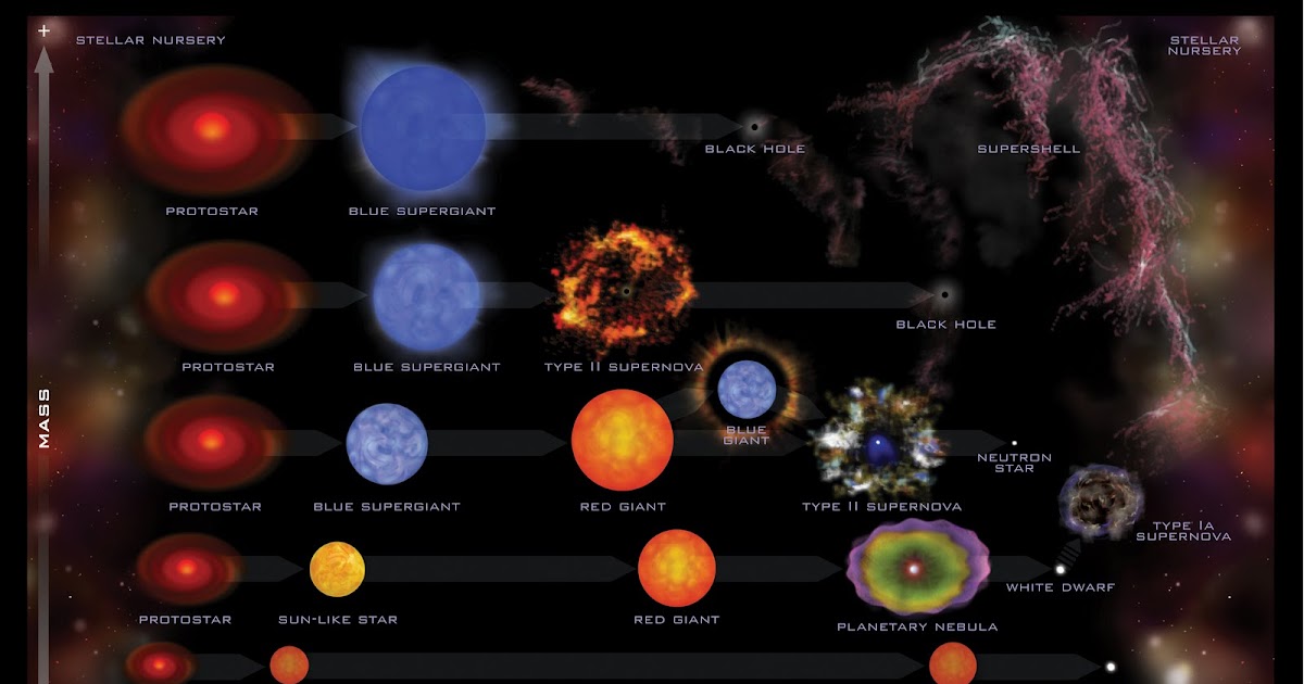 Maximizing Progress: Stellar Evolution ~ Fate of the Protostars..