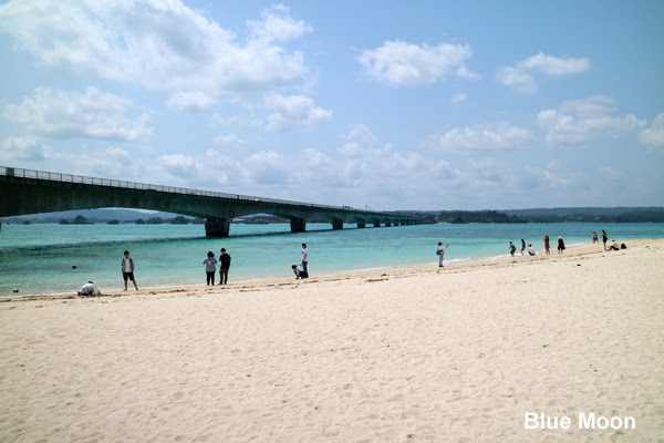 One Day Bus Tour - Okinawa, Japan
