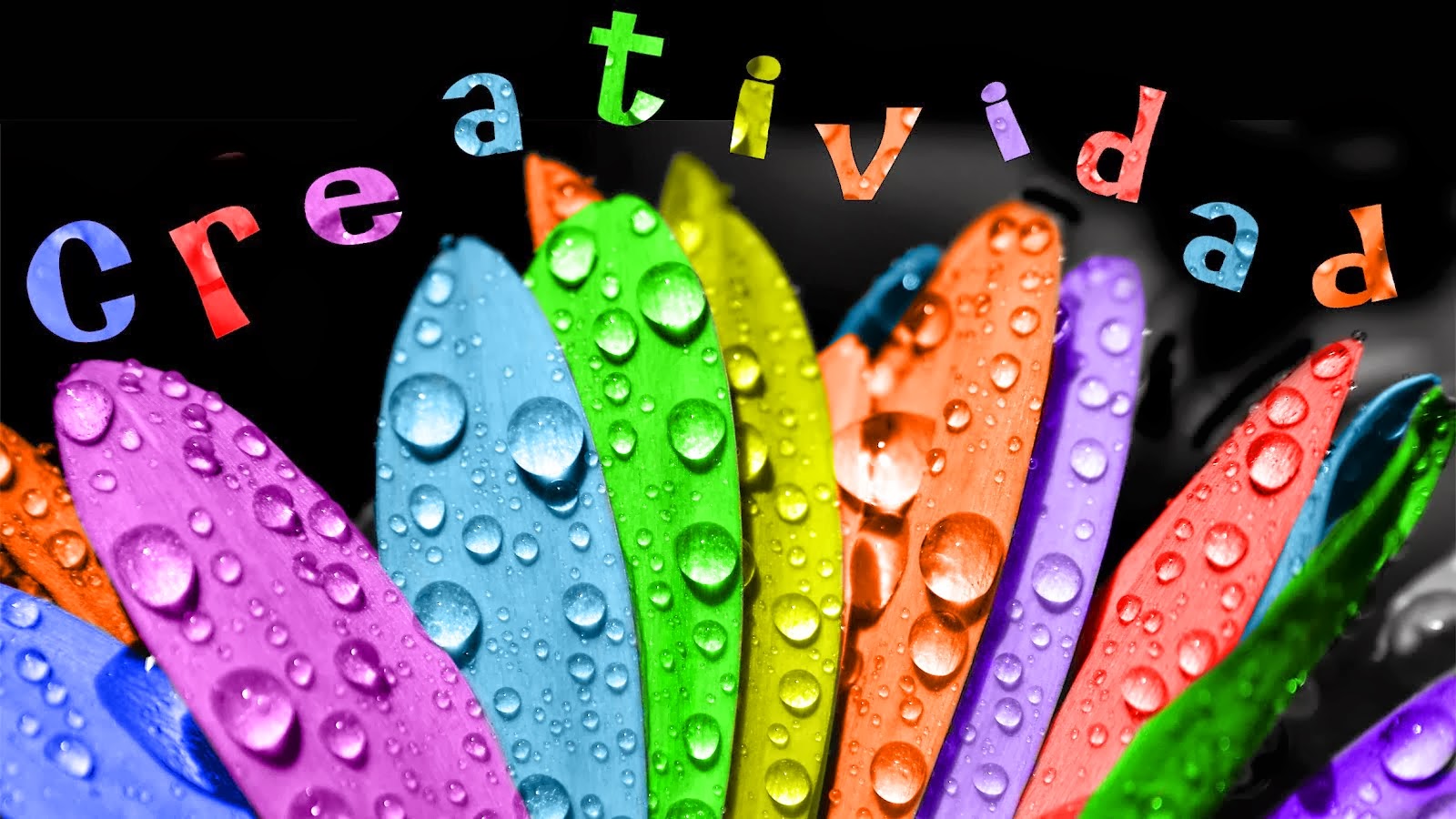 Solcapin: Creatividad