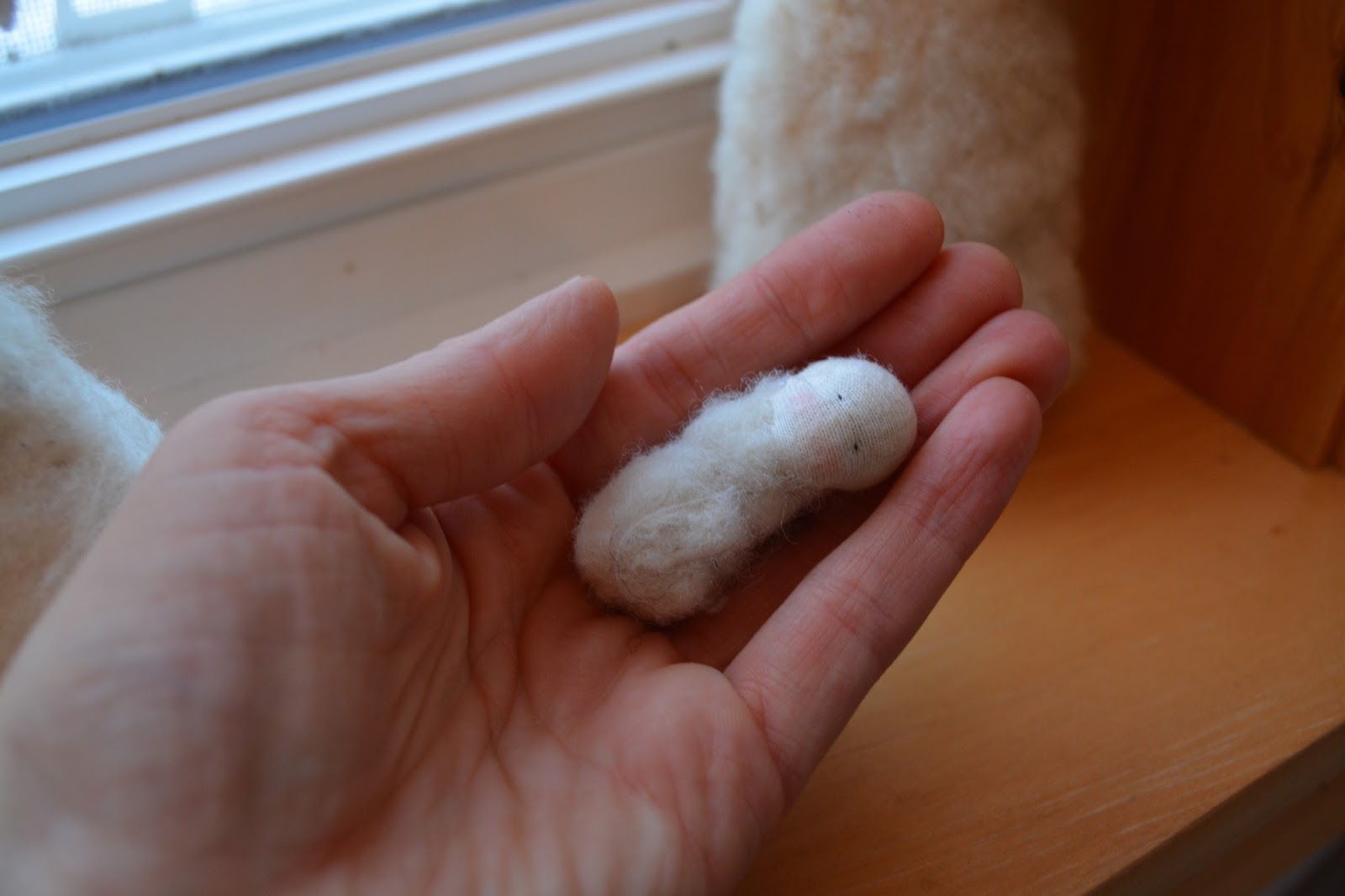 Flying Squirrel: Nativity