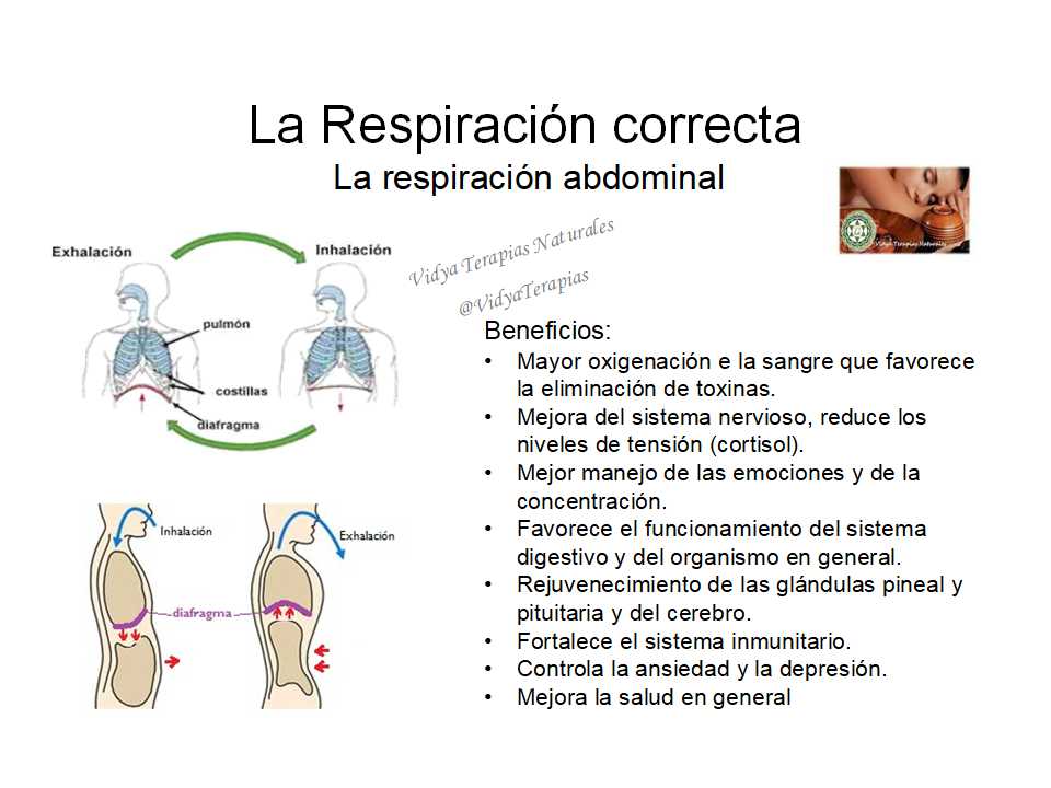 ¿Respiramos bien? La respiración correcta y la respiración completa