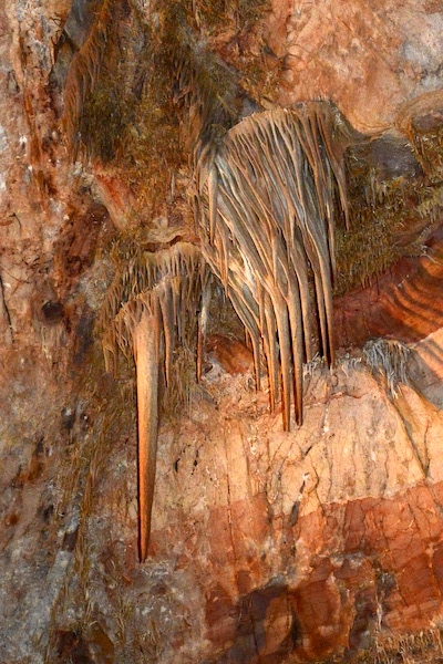 TC's Photos: Kartchner Caverns State Park 2013