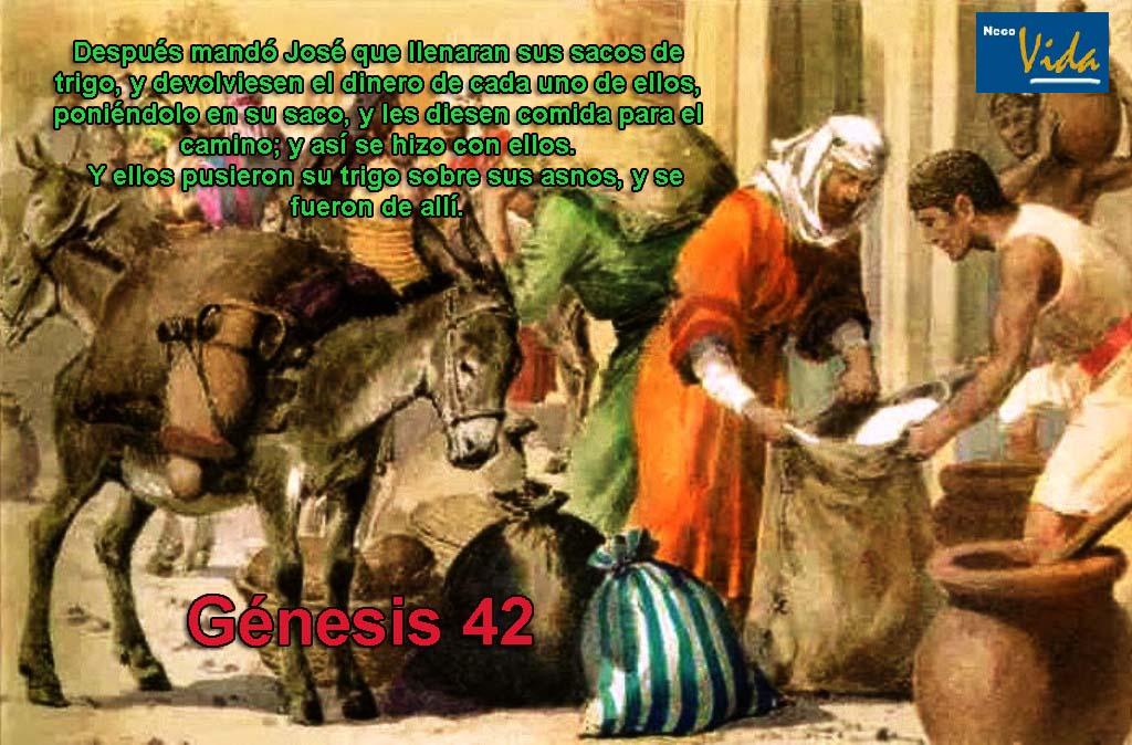 Neco Vida: Leyendo... Génesis capítulo 42
