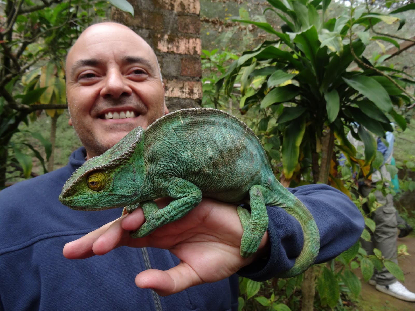 Viajaritis: Madagascar 2013 - Mandraka-Peyrieras