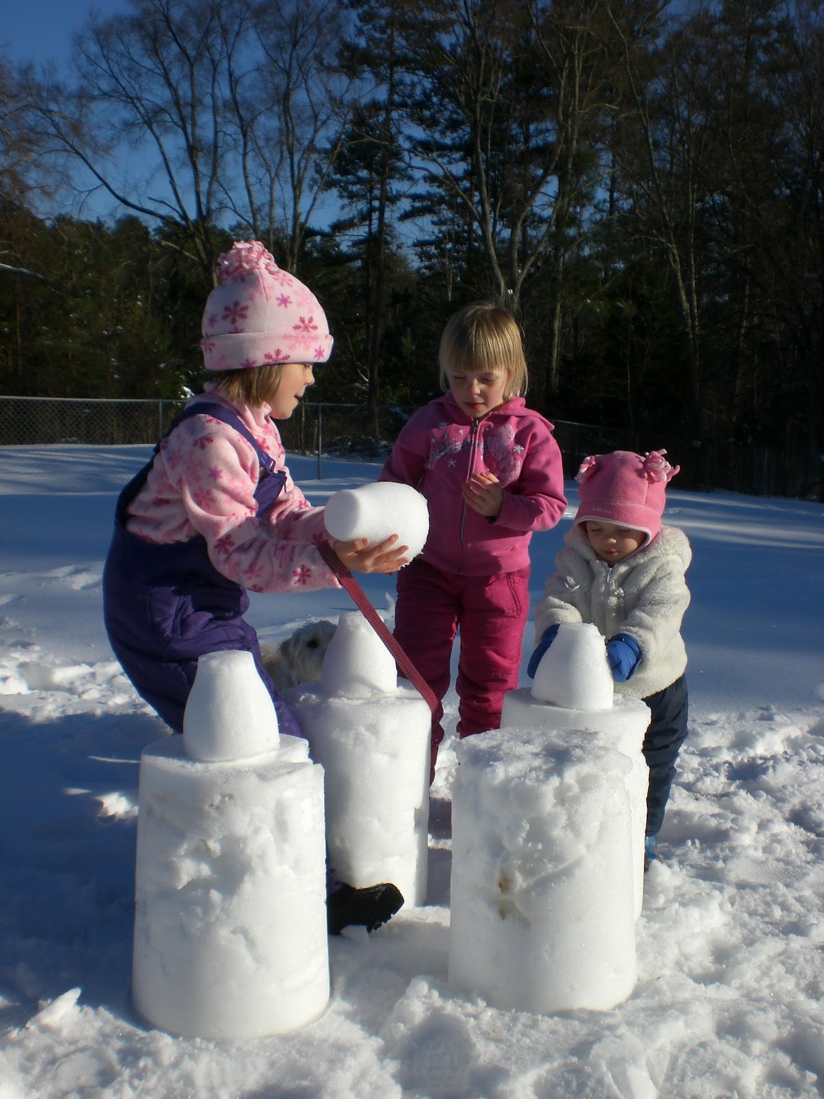 Wildflower Bouquets – Enjoy Simple Pleasures: Fun Outdoor Winter Snow ...