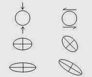 Adam Raka Ekasara: Konsep Deformasi