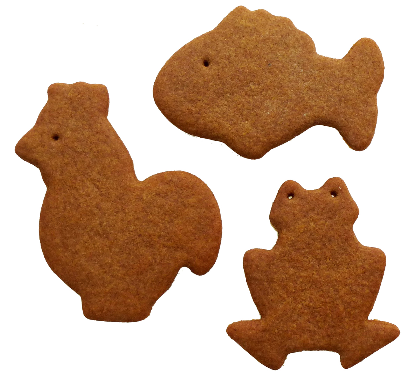 THE GINGER COOKIE: RETURN OF THE POGEN