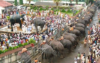 Kerala Tourism: Elephant the Holy animal in Kerala