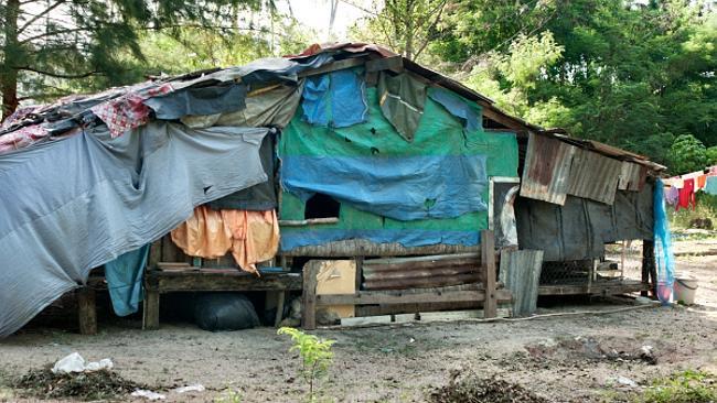 Save A Child from Sexual Abuse by 3:15 PM: Colt Clan Incest May Have ...