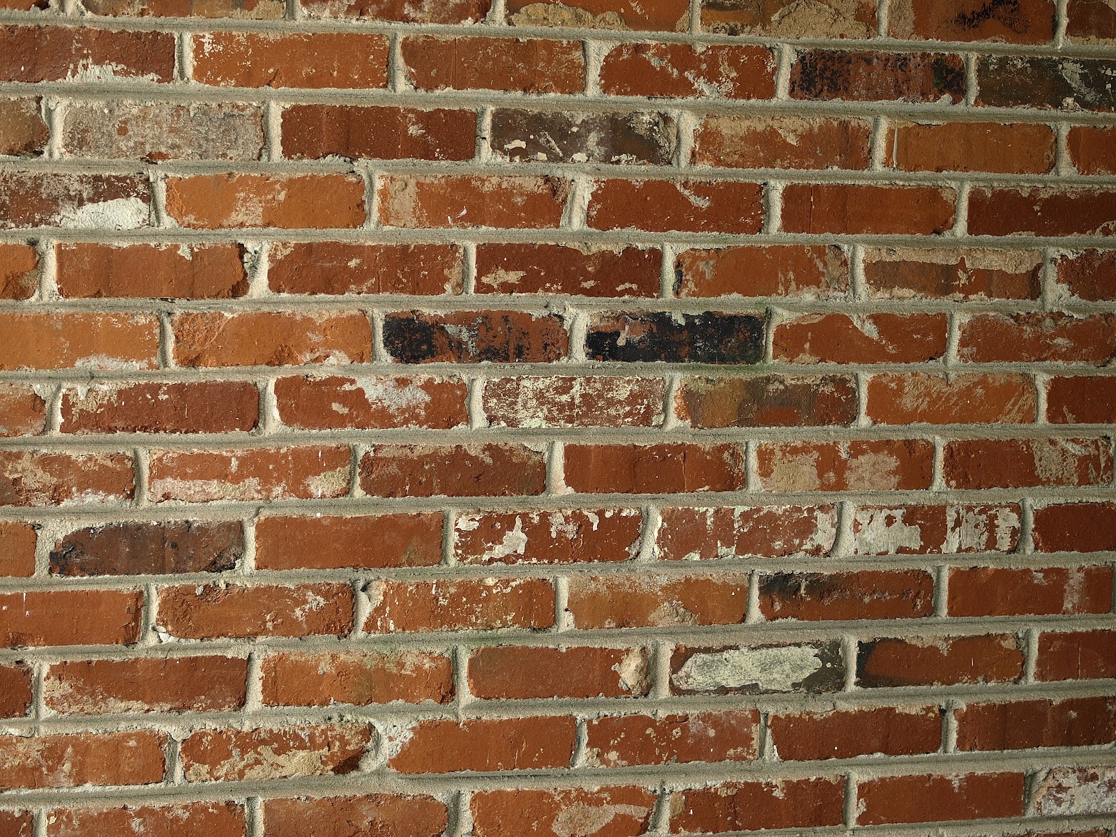 Finding Soul Balance: The beauty of reclaimed brick