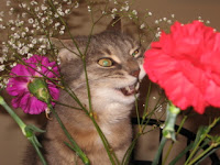 Interview on KOWS FM\'s What Now with Ken Rose | ClubOrlov