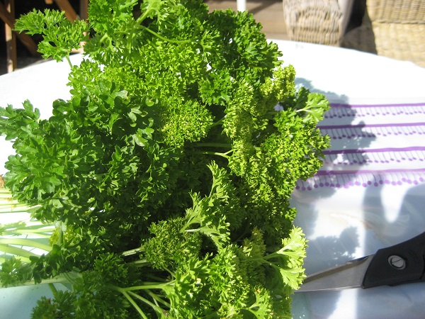 Fru Halds hage: Lille persille