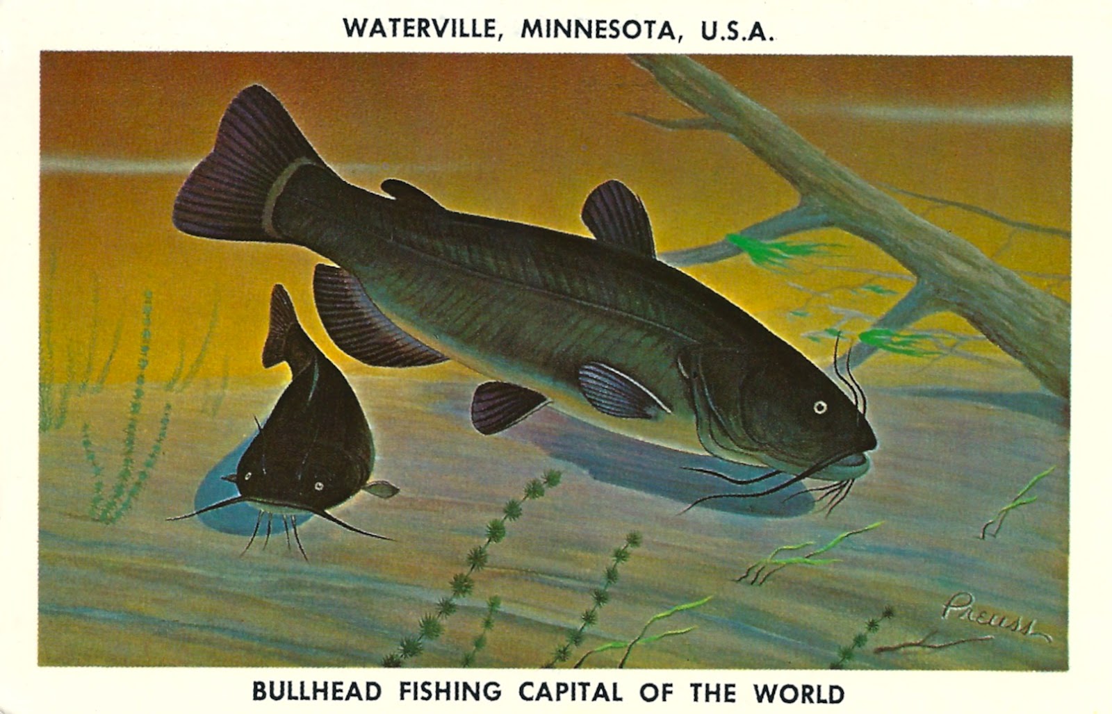 My Favorite Postcards: Waterville, Minnesota: Bullhead Fishing Capital ...