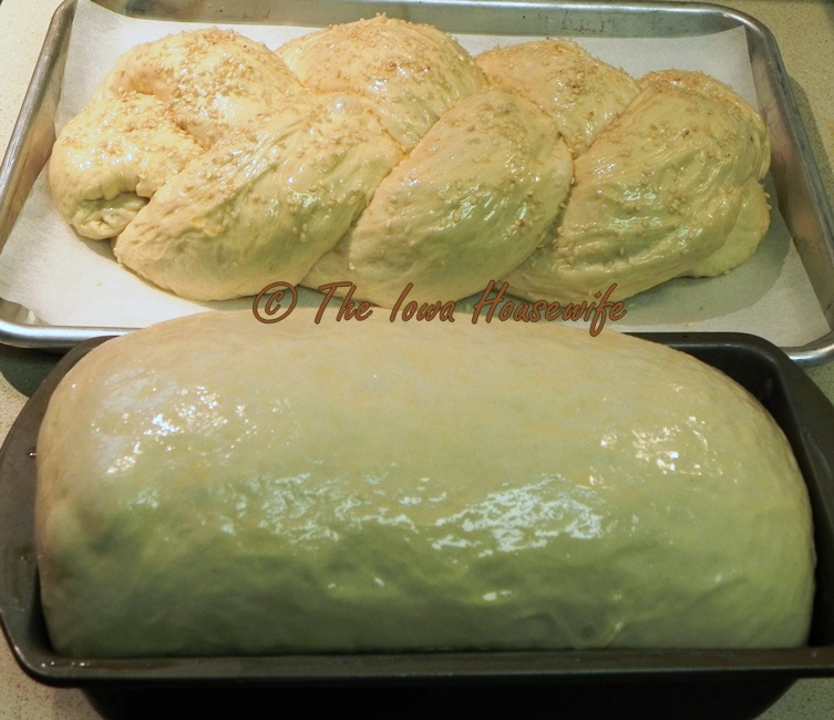 The Iowa Housewife: Fleischmann's Master Bread Dough