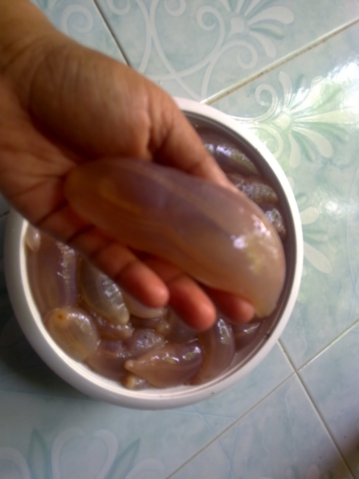 Langkawi Exotic Food- Kerabu Beronok Langkawi ~ www.langkawi-map ...