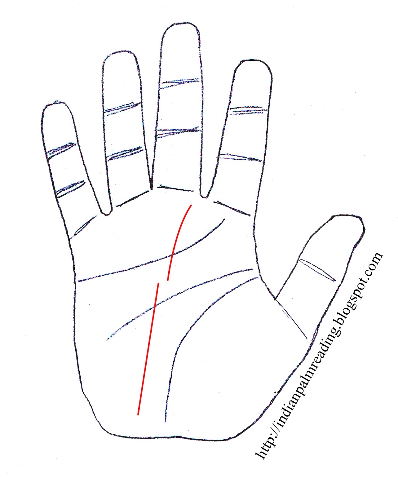 Meaning of Fate Line In Indian Palmistry ~ INDIAN PALMISTRY | PALM ...