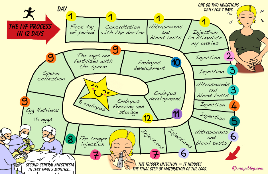 Bayi Tabung Uji (IVF)