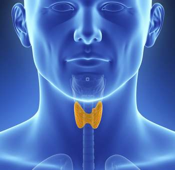 VINDECARE NATURISTA: HIPOTIROIDIA – CAUZE SI TRATAMENT NATURIST
