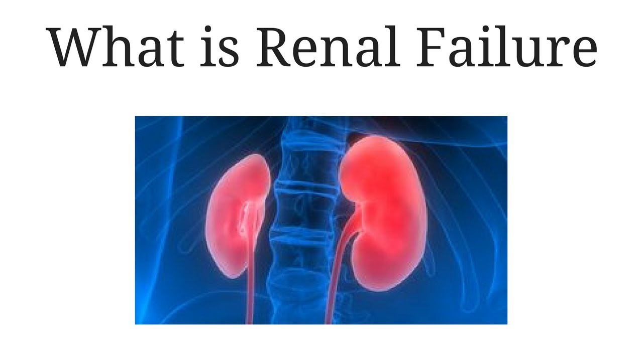 What is Renal Failure - Your Learning Point
