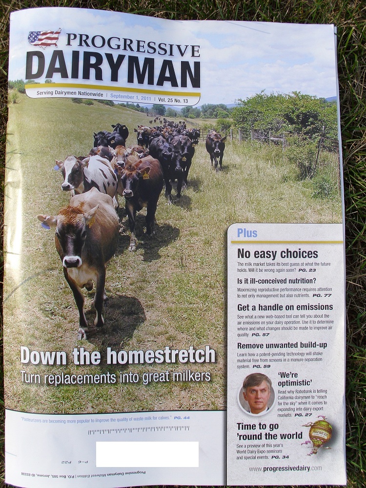 Four Leaf Clover Tales: In the spotlight!