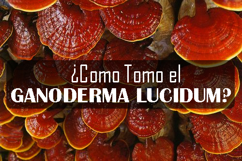 ¿COMO SE TOMA EL GANODERMA LUCIDUM? ~ DXN Riqueza y Felicidad Para el Mundo