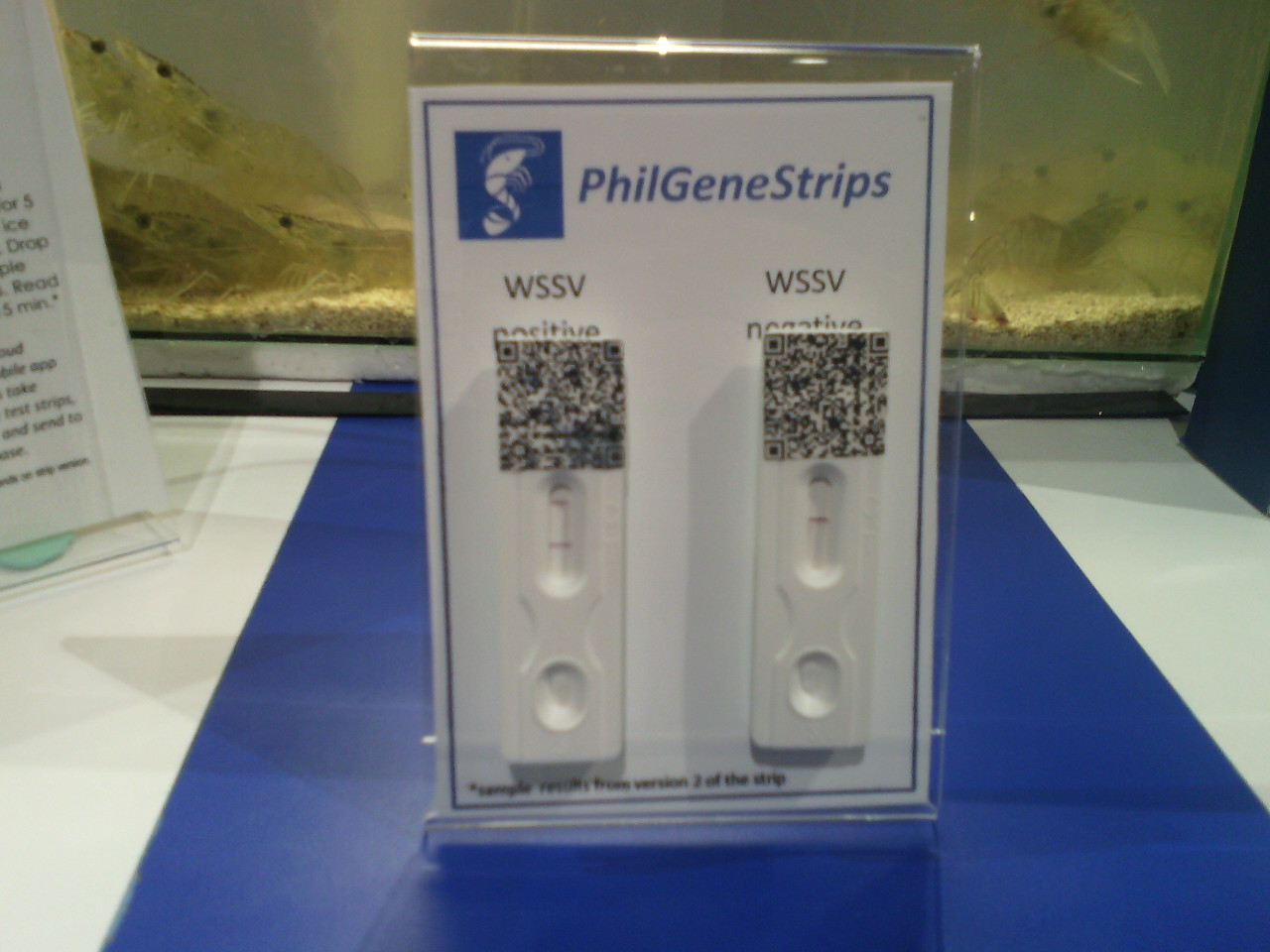"PhilGeneStrips Biosensor Kit for Quick Detection of Shrimp Pathogen ...
