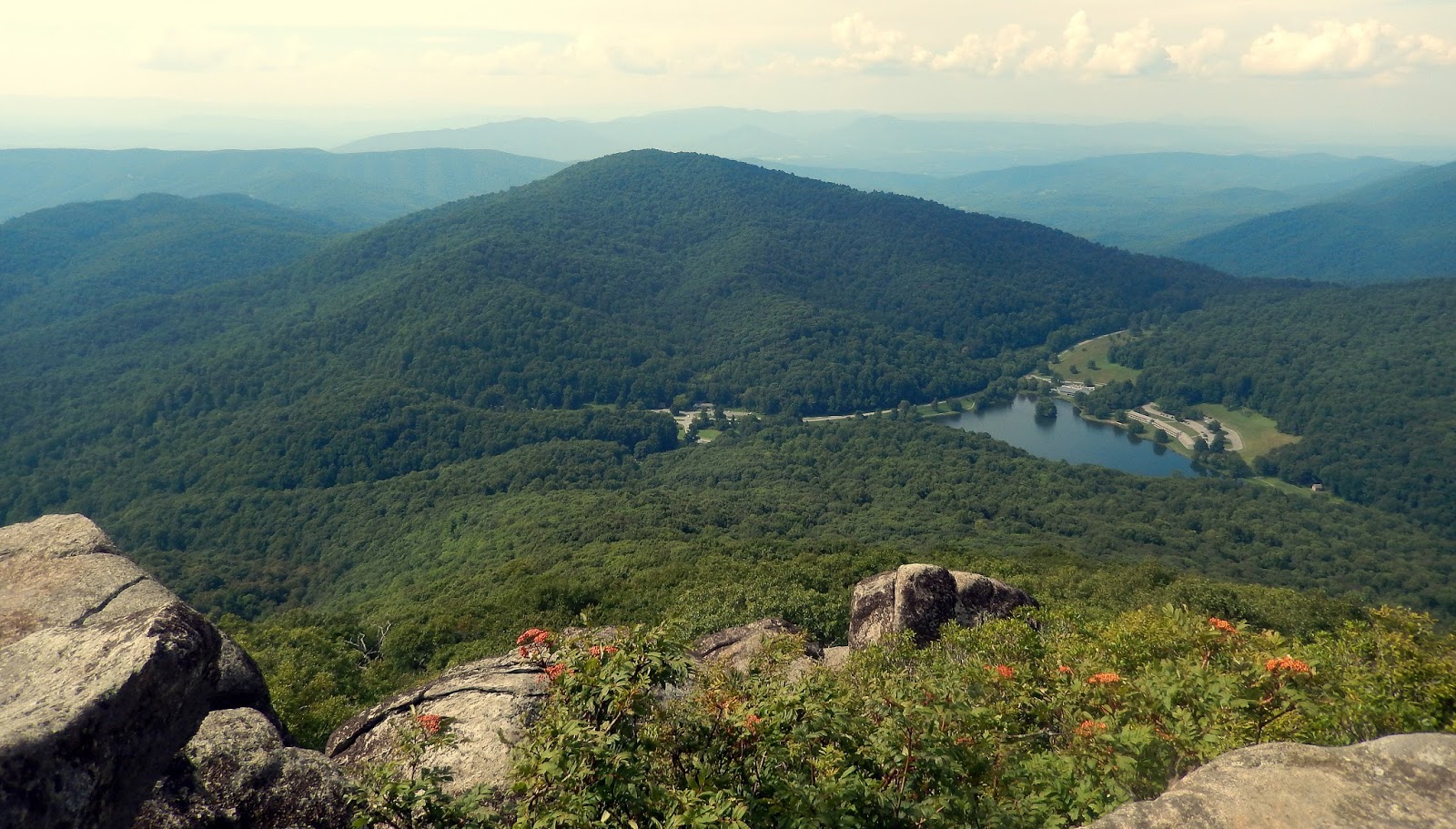 Hiking with a Fat Bald White Guy: Peaks of Otter - Sharp Top Mountain