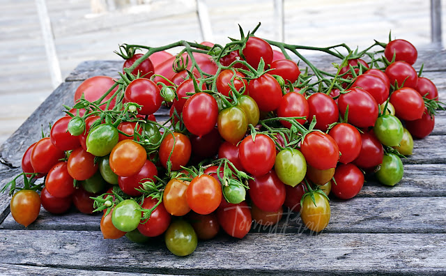 Helenes Tomater: Reverend Michael Keyes