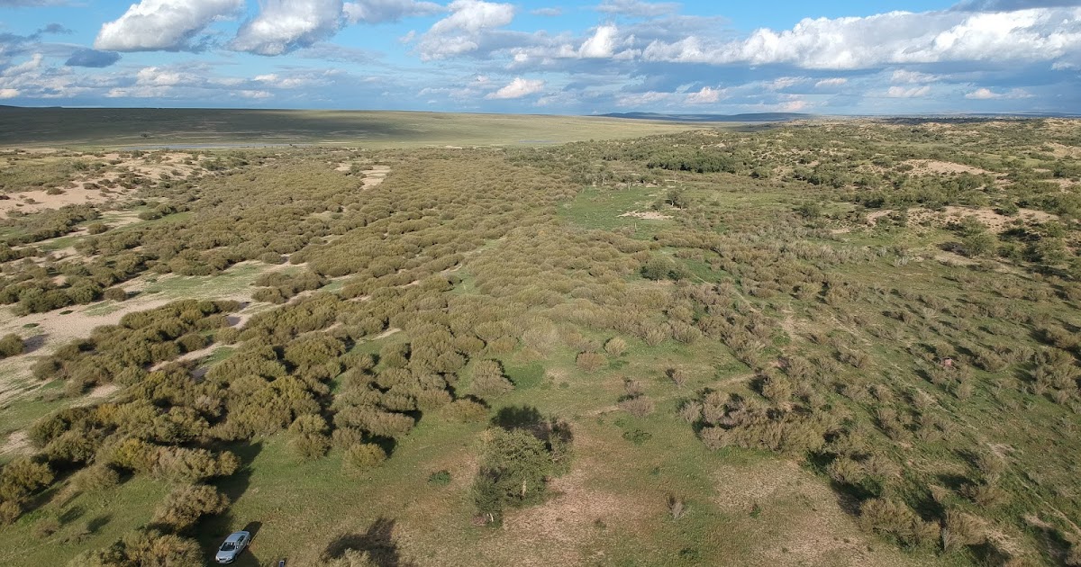 DARIGANGA BIRD RINGING STATION: About