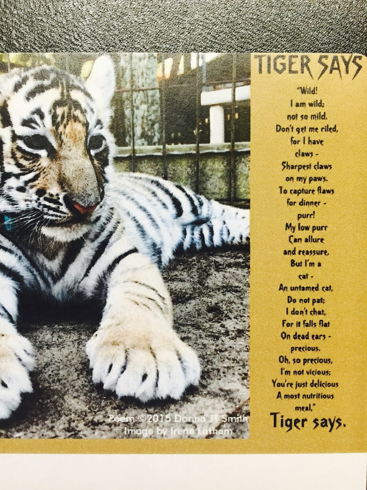 Live Your Poem...: Sharing my Summer Poem Swap Lovelies!