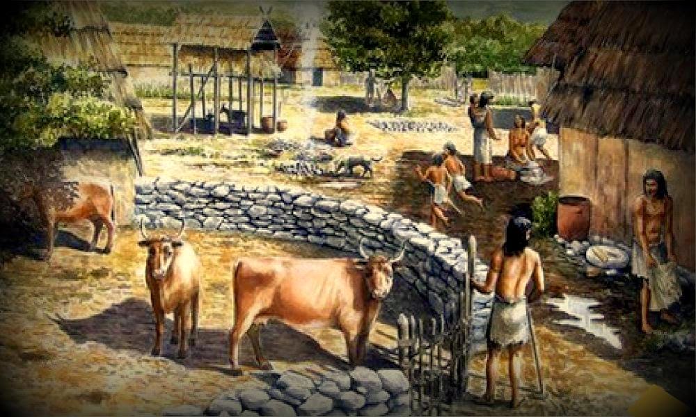 ΙΣΤΟΡΙΑ ΕΛΛΗΝΙΚΗ ΚΑΙ ΠΑΓΚΟΣΜΙΑ : ΝΕΟΛΙΘΙΚΗ ΕΠΟΧΗ ΣΤΟΝ ΕΛΛΑΔΙΚΟ ΧΩΡΟ