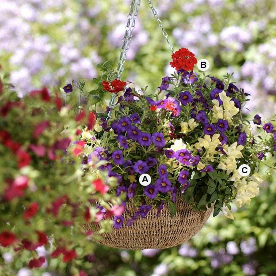 New Home Interior Design: Create Stunning Hanging Baskets