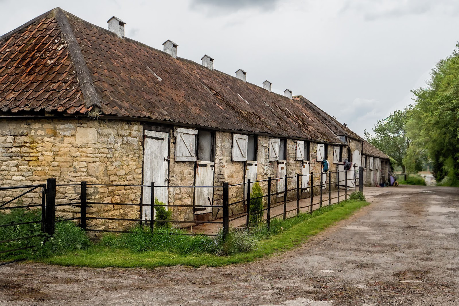 Lincolnshire Cam: Rednil Stud, Welton.